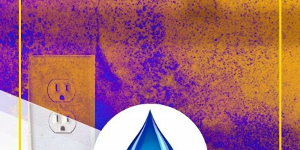 Infrared Moisture Detection - Bruni Infrared